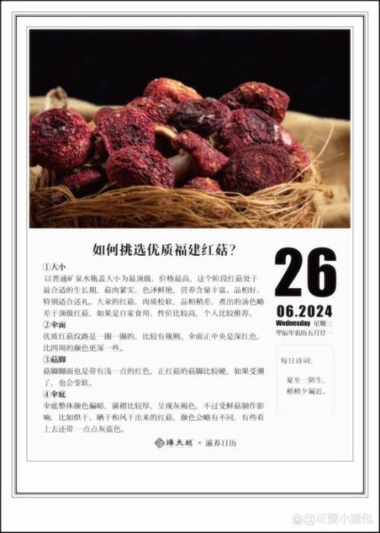 野生红菇干多少钱一斤_野生红菇干为什么这么贵-第3张图片-山城妙识 野生红菇干多少钱一斤_野生红菇干为什么这么贵-第3张图片-山城妙识