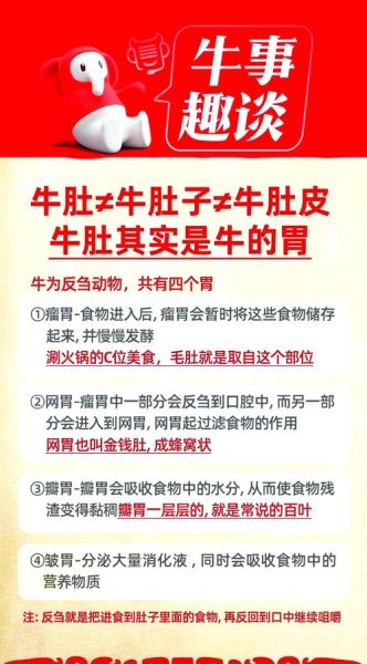 牛肚是什么_牛肚和毛肚的区别-第2张图片-山城妙识 牛肚是什么_牛肚和毛肚的区别-第2张图片-山城妙识