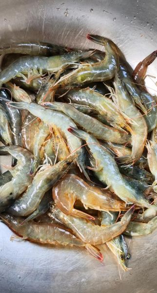 鲜大虾酱怎么做_家庭版虾酱做法-第3张图片-山城妙识 鲜大虾酱怎么做_家庭版虾酱做法-第3张图片-山城妙识