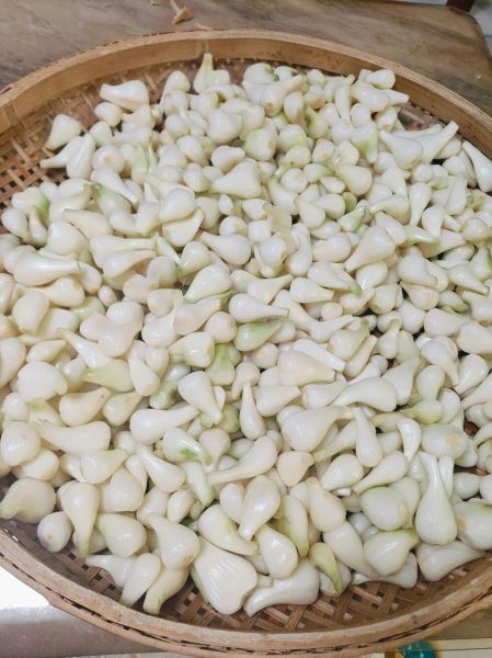 藠头菜怎么腌制好吃_藠头菜的功效与作用-第1张图片-山城妙识