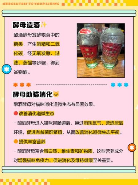 啤酒酵母是什么_啤酒酵母的作用与功效-第2张图片-山城妙识 啤酒酵母是什么_啤酒酵母的作用与功效-第2张图片-山城妙识