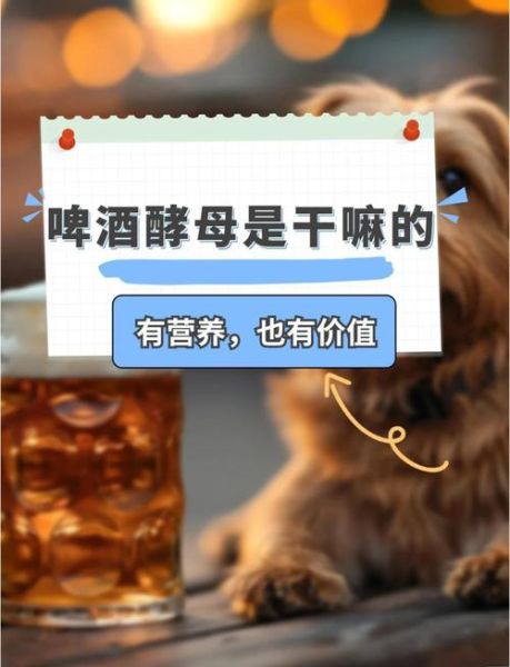 啤酒酵母是什么_啤酒酵母的作用与功效-第3张图片-山城妙识 啤酒酵母是什么_啤酒酵母的作用与功效-第3张图片-山城妙识
