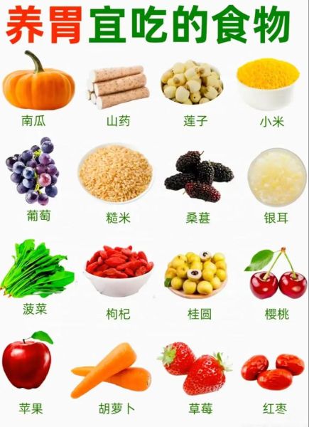养胃的食物有哪些_养胃的水果蔬菜推荐-第1张图片-山城妙识 养胃的食物有哪些_养胃的水果蔬菜推荐-第1张图片-山城妙识