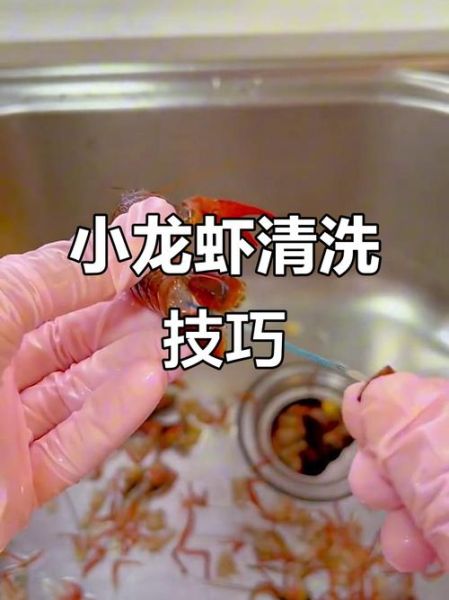 小龙虾怎么杀才干净_小龙虾清洗去虾线技巧-第1张图片-山城妙识 小龙虾怎么杀才干净_小龙虾清洗去虾线技巧-第1张图片-山城妙识
