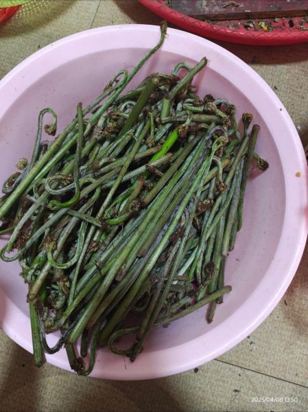 干蕨菜怎么泡发_干蕨菜炒肉的做法-第2张图片-山城妙识