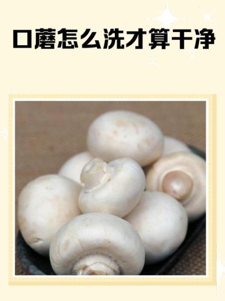 口蘑不焯水会中毒吗_口蘑不焯水有毒吗-第1张图片-山城妙识