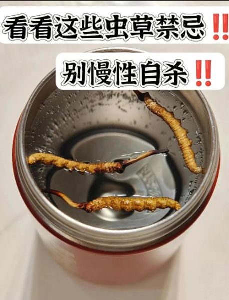 虫草一天吃几根为合适_虫草每日用量是多少-第1张图片-山城妙识 虫草一天吃几根为合适_虫草每日用量是多少-第1张图片-山城妙识