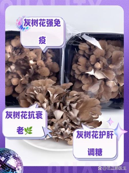 灰树花有什么功效与作用_灰树花禁忌人群有哪些-第1张图片-山城妙识