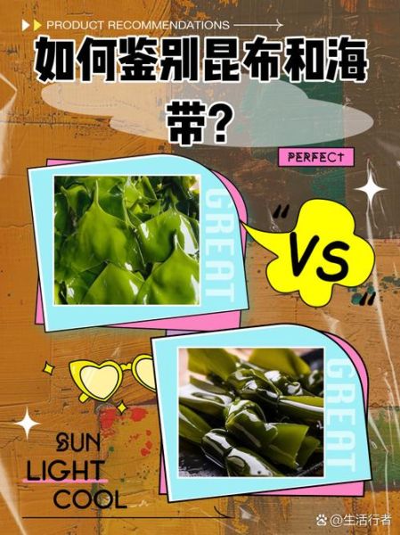 昆布和海带的区别_哪个营养价值更高-第2张图片-山城妙识 昆布和海带的区别_哪个营养价值更高-第2张图片-山城妙识