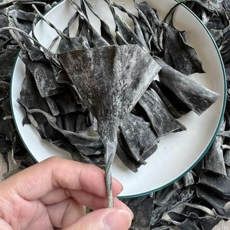 昆布和海带的区别_哪个营养价值更高-第3张图片-山城妙识 昆布和海带的区别_哪个营养价值更高-第3张图片-山城妙识