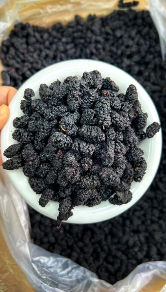 桑椹干可以直接吃吗_桑椹干怎么吃最好-第1张图片-山城妙识