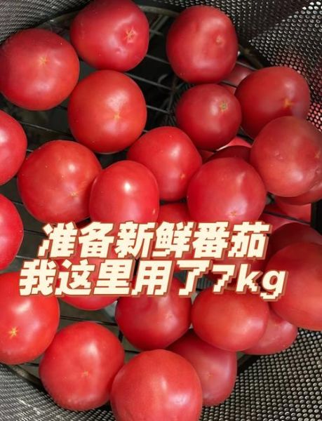 番茄酱怎么做家庭做法_自制番茄酱保存多久-第3张图片-山城妙识 番茄酱怎么做家庭做法_自制番茄酱保存多久-第3张图片-山城妙识