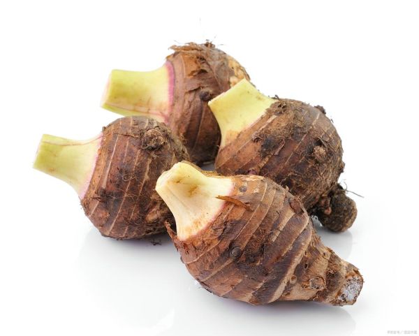 芋头图片大全欣赏_芋头品种有哪些-第3张图片-山城妙识