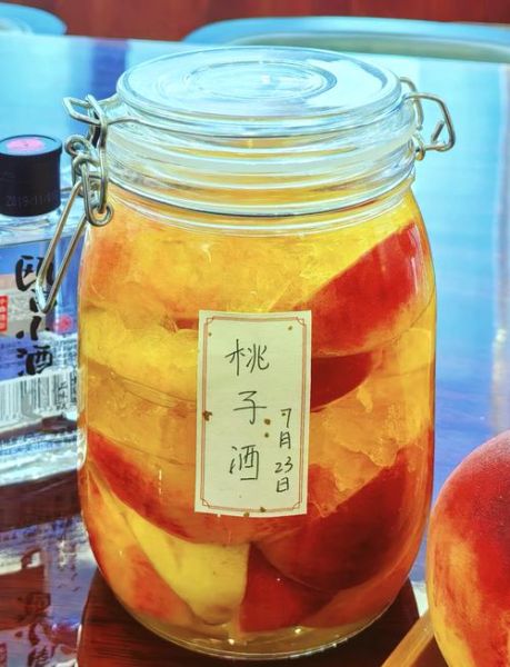 桃子酒怎么做_桃子酒家庭酿制方法-第2张图片-山城妙识