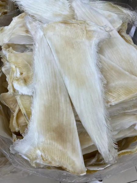 干鱼翅的价格一般是多少_干鱼翅多少钱一斤-第1张图片-山城妙识