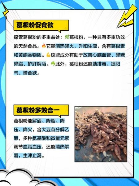 葛根粉的作用与功效禁忌_什么人不能吃葛根粉-第2张图片-山城妙识