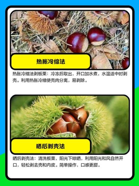 板栗怎么去毛绒绒皮_生板栗快速去皮方法-第3张图片-山城妙识 板栗怎么去毛绒绒皮_生板栗快速去皮方法-第3张图片-山城妙识