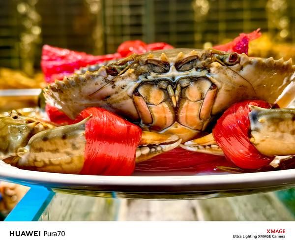 青蟹和膏蟹的区别_青蟹膏蟹哪个更肥-第1张图片-山城妙识