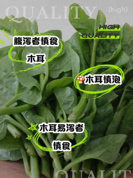 木耳菜的功效与禁忌_哪些人不能吃-第2张图片-山城妙识