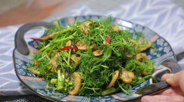 茴香苗是发物吗_术后能吃茴香苗吗-第3张图片-山城妙识