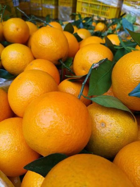 尿酸高吃什么水果好_痛风最怕的三种水果-第2张图片-山城妙识