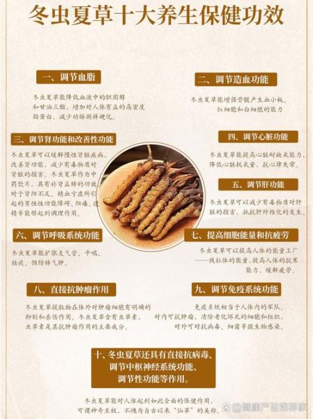 冬虫夏草的功效与禁忌_冬虫夏草怎么吃最好-第2张图片-山城妙识