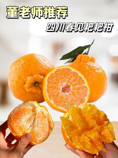 耙耙柑怎么挑选_耙耙柑什么时候最好吃-第3张图片-山城妙识 耙耙柑怎么挑选_耙耙柑什么时候最好吃-第3张图片-山城妙识