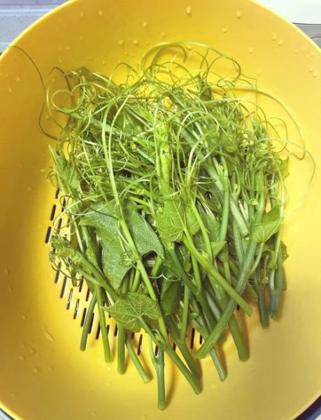 海藻龙须菜要用热水焯吗_焯水正确步骤-第3张图片-山城妙识