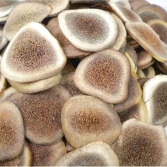 鹿角片的功效与作用_鹿角片怎么吃效果最好-第3张图片-山城妙识 鹿角片的功效与作用_鹿角片怎么吃效果最好-第3张图片-山城妙识