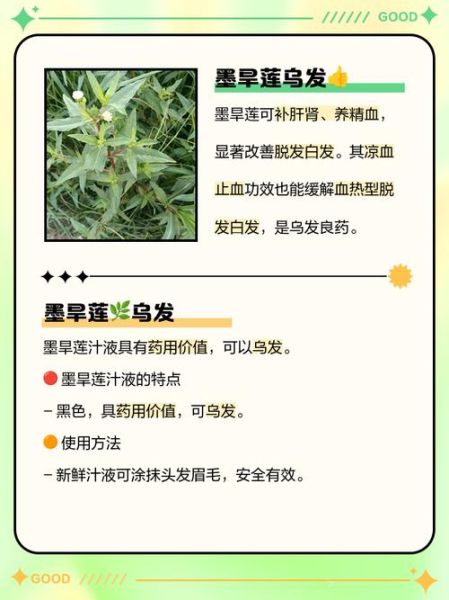 乌发的中草药配方大全_白发变黑发用什么中药-第2张图片-山城妙识 乌发的中草药配方大全_白发变黑发用什么中药-第2张图片-山城妙识