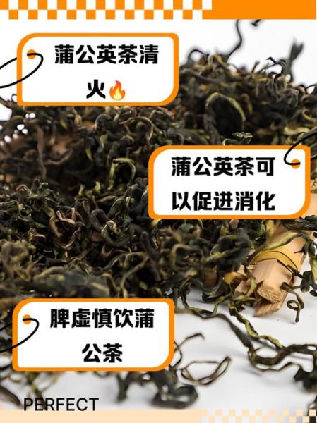 蒲公英茶的功效与作用_蒲公英茶怎么喝效果最好-第3张图片-山城妙识 蒲公英茶的功效与作用_蒲公英茶怎么喝效果最好-第3张图片-山城妙识