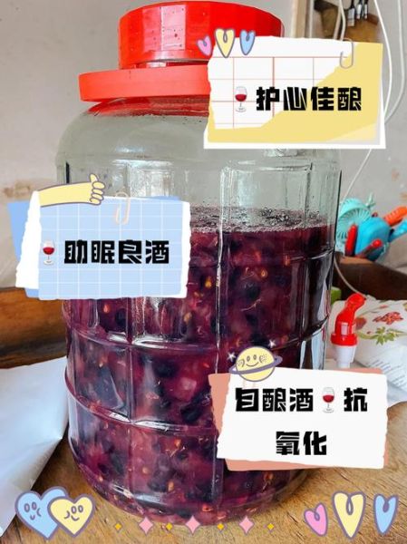 家庭自酿葡萄酒怎么做_葡萄酒发酵多久能喝-第2张图片-山城妙识