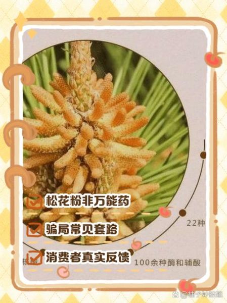 松花粉骗局是真的吗_央视曝光真相-第1张图片-山城妙识