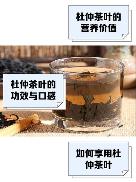常喝杜仲茶有什么好处_杜仲茶能降血压吗-第1张图片-山城妙识