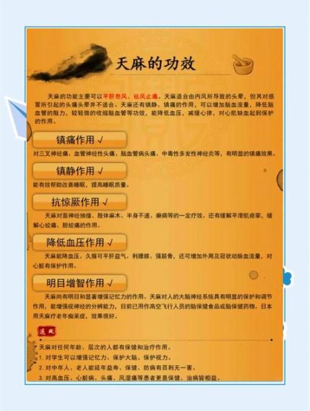 天麻的功效与作用吃法_天麻的禁忌有哪些-第1张图片-山城妙识 天麻的功效与作用吃法_天麻的禁忌有哪些-第1张图片-山城妙识