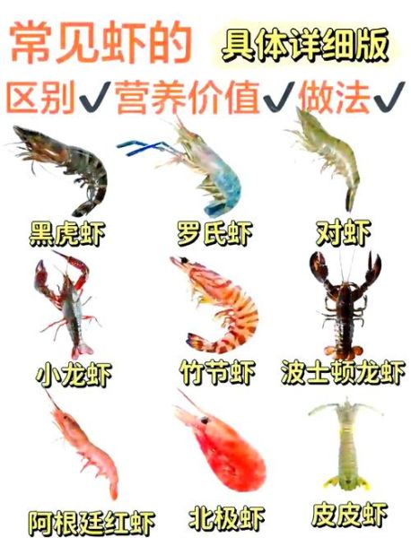 虾的营养价值_虾吃了会长胖吗-第1张图片-山城妙识 虾的营养价值_虾吃了会长胖吗-第1张图片-山城妙识