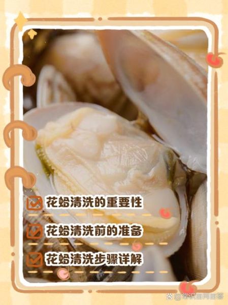 花蛤怎么清洗_花蛤的做法大全-第1张图片-山城妙识