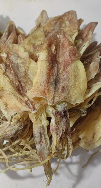 干鱿鱼怎么泡发_水发干鱿鱼的做法-第2张图片-山城妙识