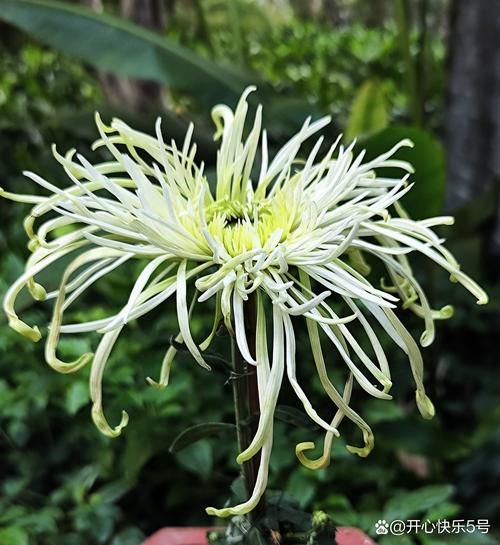 丝丝入扣是什么意思_丝丝入扣的近义词有哪些-第1张图片-山城妙识 丝丝入扣是什么意思_丝丝入扣的近义词有哪些-第1张图片-山城妙识