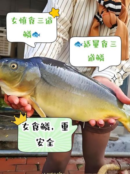 三道鳞是什么鱼_多少钱一斤-第1张图片-山城妙识 三道鳞是什么鱼_多少钱一斤-第1张图片-山城妙识