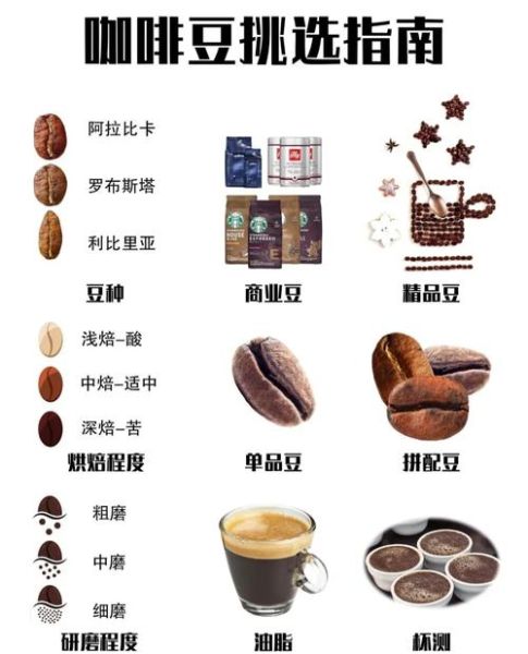 常见豆子种类有哪些_如何挑选优质豆子-第3张图片-山城妙识
