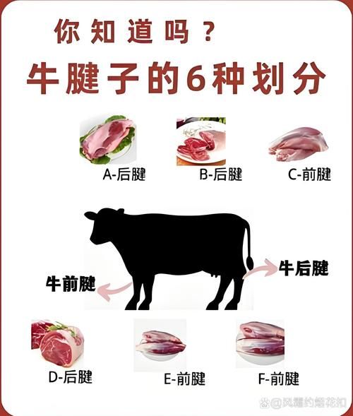 酱牛肉用牛的哪个部位最好_牛腱子肉还是牛肋条-第1张图片-山城妙识 酱牛肉用牛的哪个部位最好_牛腱子肉还是牛肋条-第1张图片-山城妙识