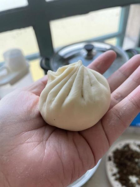 包子怎么包_包子褶子怎么捏才漂亮-第3张图片-山城妙识 包子怎么包_包子褶子怎么捏才漂亮-第3张图片-山城妙识