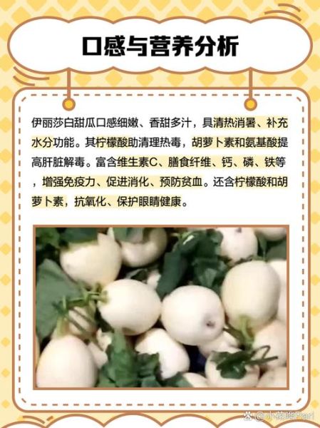 伊丽莎白瓜怎么挑_伊丽莎白瓜挑选技巧-第2张图片-山城妙识