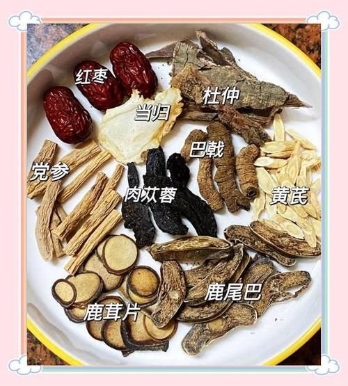 巴戟天煲汤最佳配伍_巴戟天和什么一起煲汤好-第2张图片-山城妙识 巴戟天煲汤最佳配伍_巴戟天和什么一起煲汤好-第2张图片-山城妙识