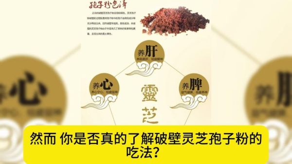 灵芝孢子粉的功效与作用_灵芝怎么吃效果最好-第3张图片-山城妙识 灵芝孢子粉的功效与作用_灵芝怎么吃效果最好-第3张图片-山城妙识