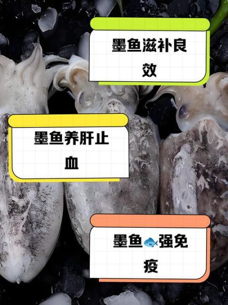 墨鱼的营养价值高吗_墨鱼有哪些营养成分-第1张图片-山城妙识