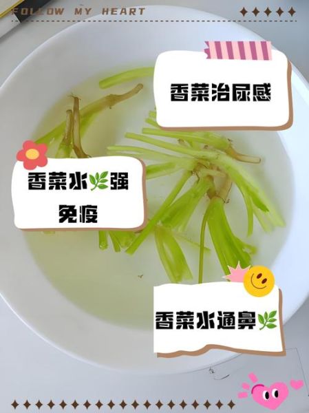 水香菜怎么吃_水香菜的功效与作用-第2张图片-山城妙识