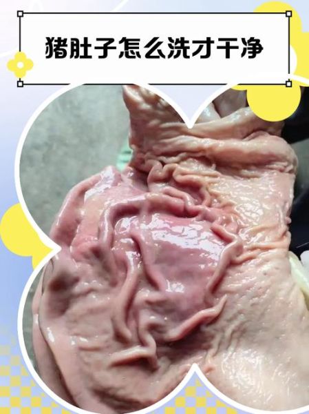 猪肚怎么洗才干净_猪肚清洗的正确方法-第1张图片-山城妙识