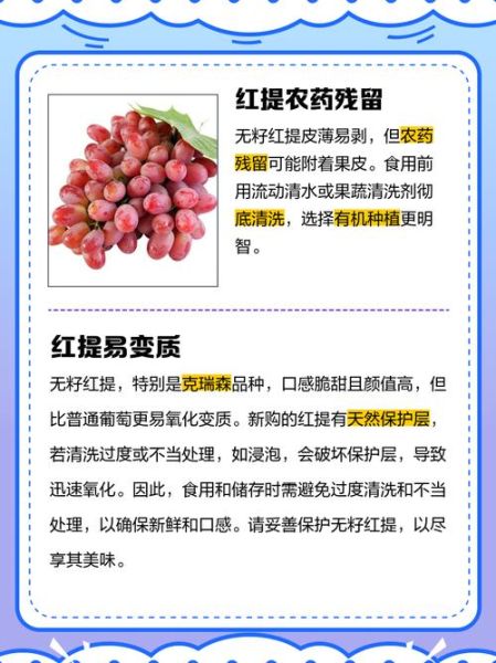 无籽红提的营养价值_无籽红提的功效与作用-第3张图片-山城妙识 无籽红提的营养价值_无籽红提的功效与作用-第3张图片-山城妙识